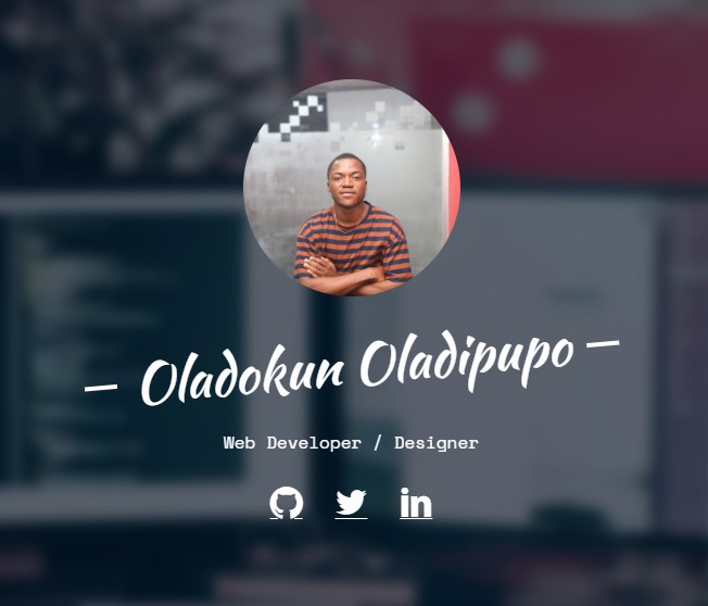 Portfolio Oladokun Oladipupo